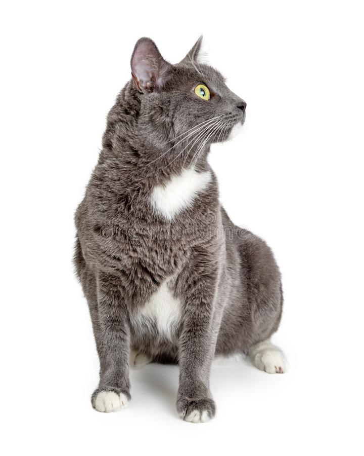 Домашня сторінка